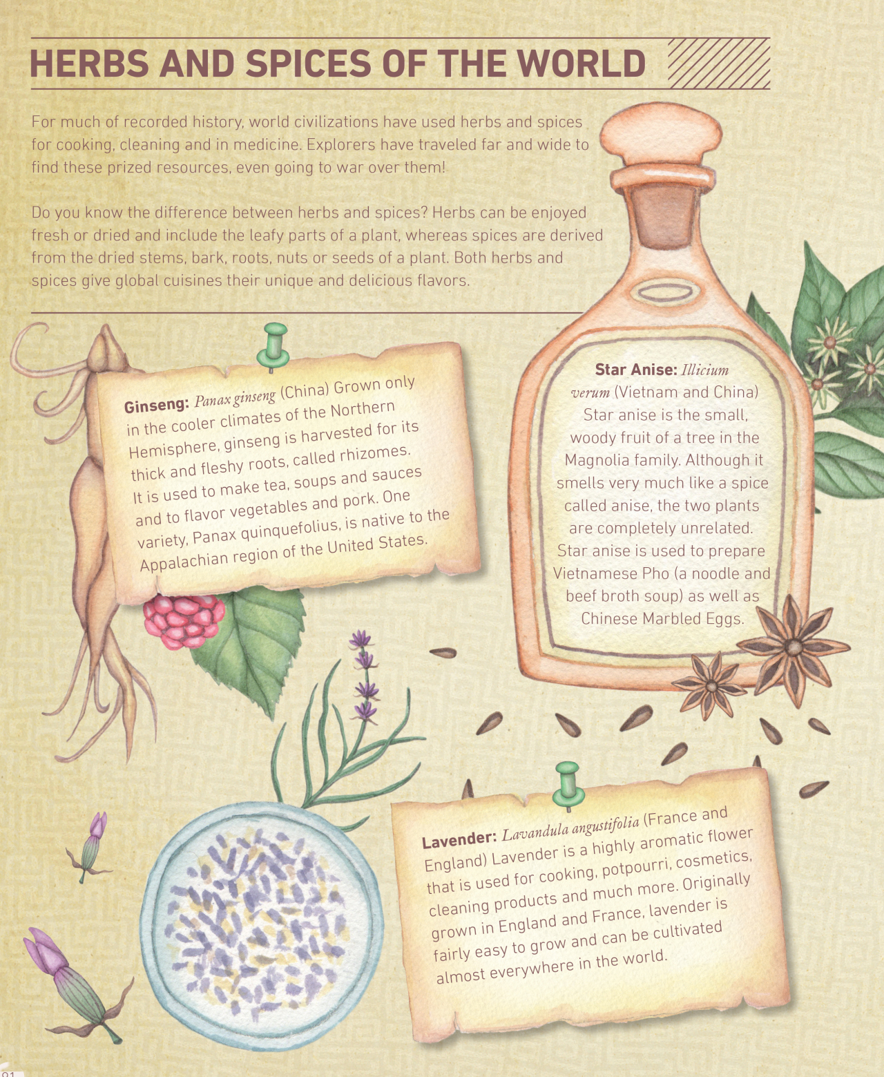 Herbs and Spices of the World – Cultured Chef